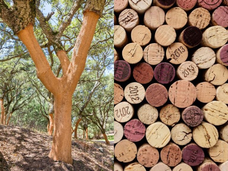 Cork Building Material Pros and Cons (What Is It Anyway)? - Building ... Cork Building Material Pros and Cons (What Is It Anyway)? - Building ...
